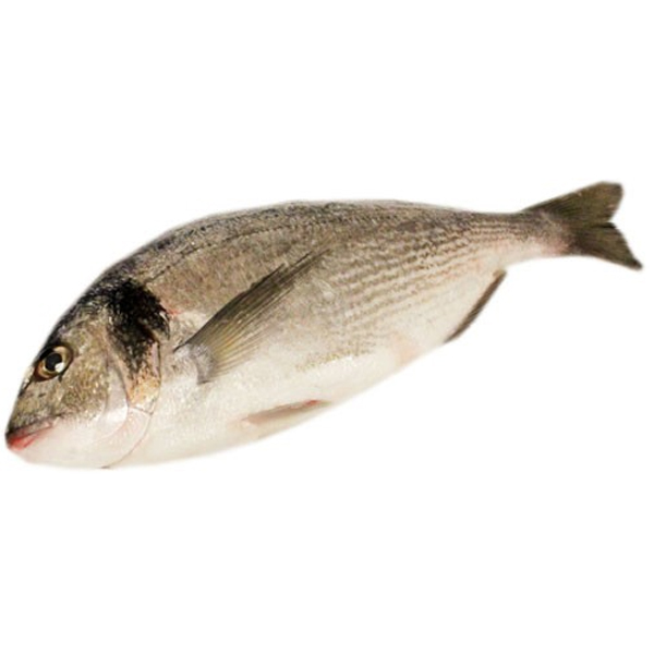 Silver Sea Bream | Nextbuy.ae