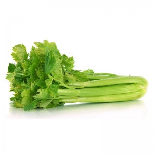 Iranian Celery - 500g | Nextbuy.ae