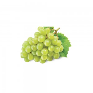 Grapes White Seedless U.S.A - 500gm Pack | Nextbuy.ae